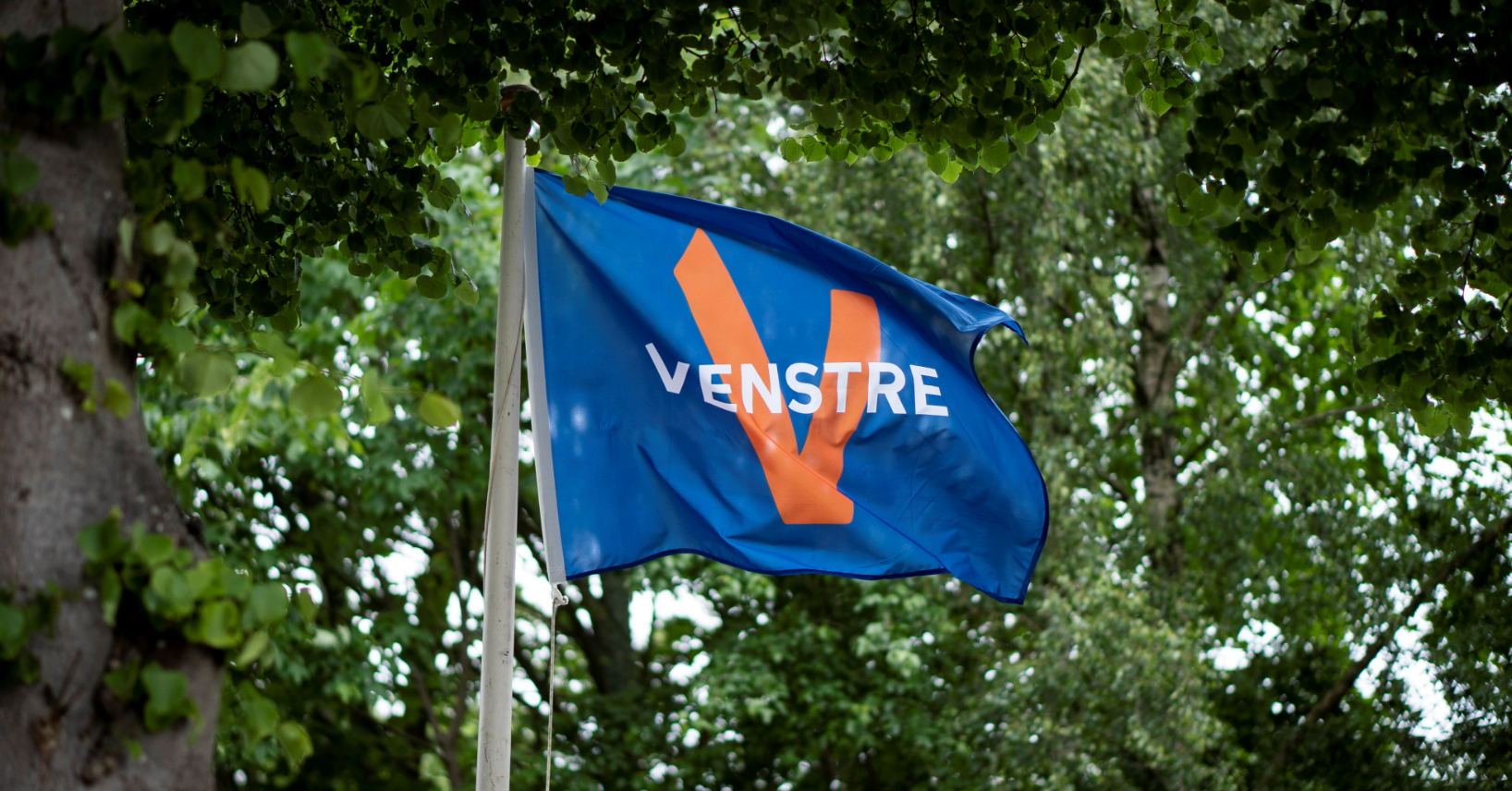 Principprogram | Venstre