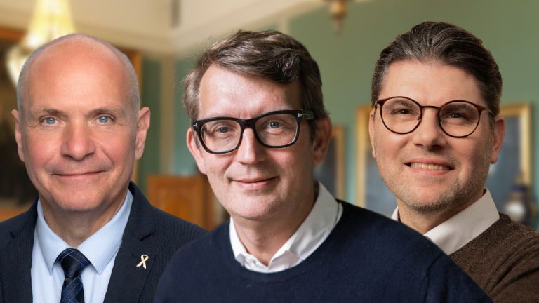 Flagdag: I dag hylder vi Danmarks udsendte