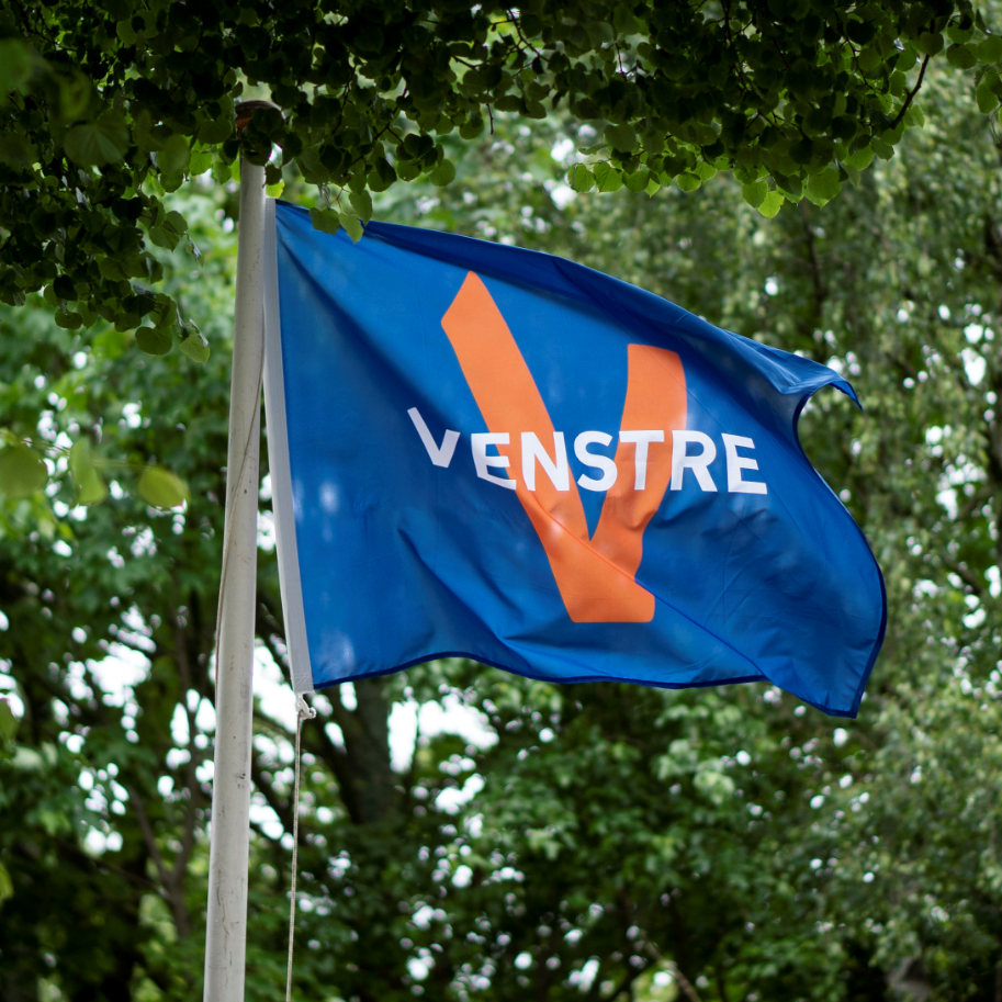 Her holder Venstres politikere grundlovstaler